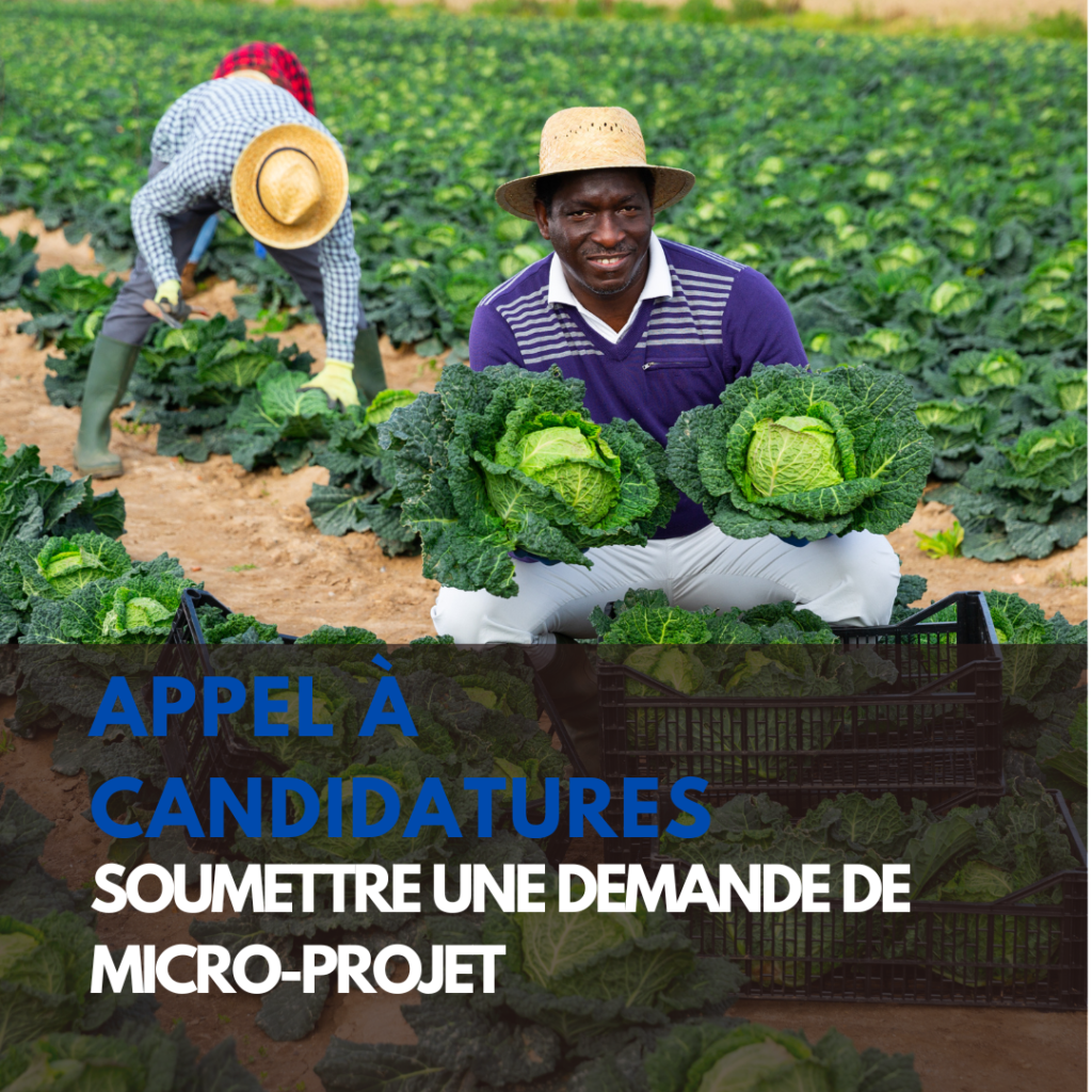 Appel à Candidatures- Soumettre une demande de Micro-Projet – GHSS